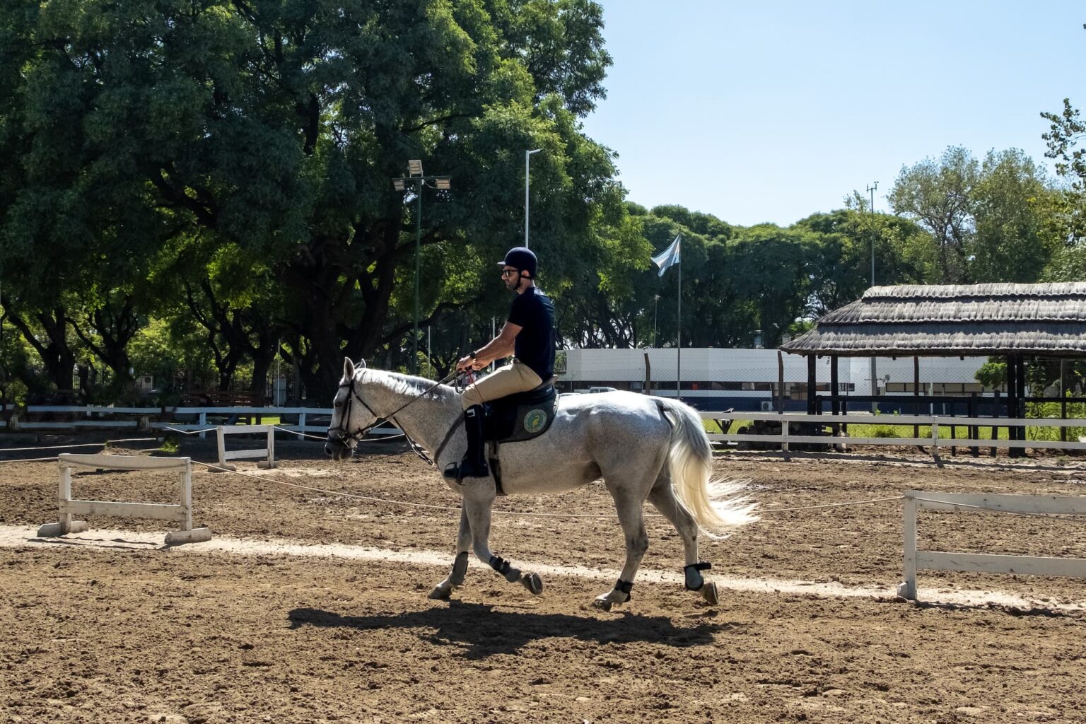 Review of a Horse: Autonomous, Sustainable, One Horsepower