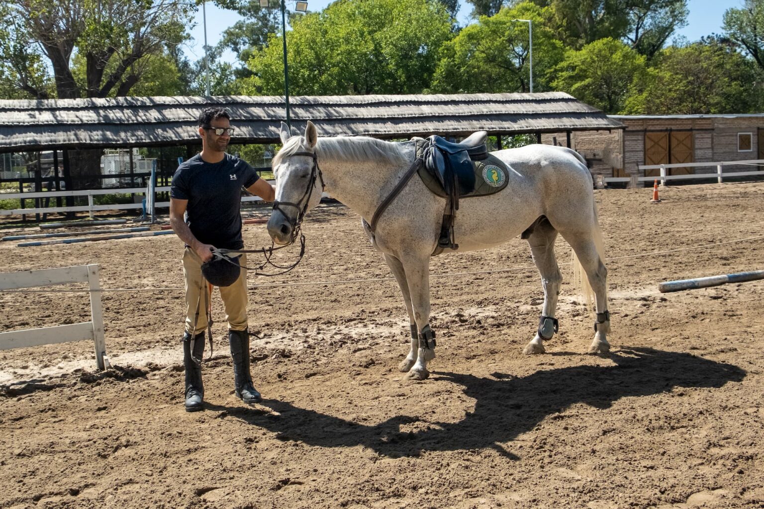 Review of a Horse: Autonomous, Sustainable, One Horsepower